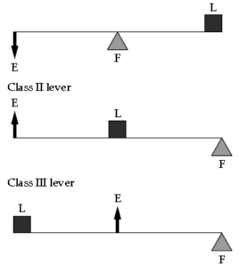 Previous Year Questions ICSE Class 10 Physics Machines