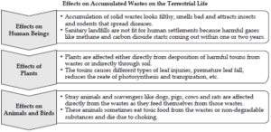 Waste Management ICSE Class 10 Geography Notes
