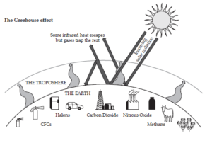 Waste Management ICSE Class 10 Geography Notes