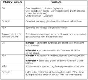 Notes Endocrine System ICSE Class 10 Biology Download PDF