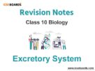 Notes Excretory System Icse Class 10 Biology Download Pdf