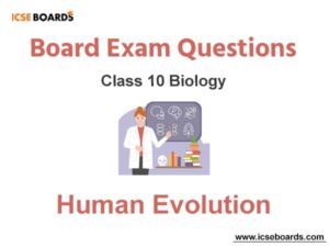 Human Evolution ICSE Class 10 Biology Board Exam Questions