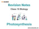 Notes Photosynthesis ICSE Class 10 Biology Download PDF