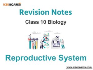 Notes Reproductive System ICSE Class 10 Biology