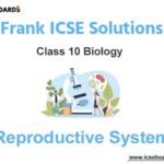 The Reproductive System ICSE Class 10 Biology Board Exam Questions
