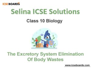 Selina ICSE Class 10 Biology Solutions Chapter 7 The Excretory System ...