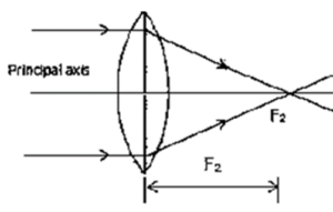 Selina ICSE Class 10 Physics Solutions Chapter 5 Refraction Through Lens