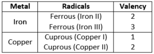 Selina ICSE Class 8 Chemistry Solutions Chapter 5 Language of Chemistry