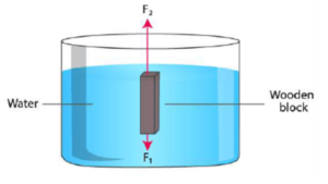 Selina ICSE Class 9 Physics Solutions Chapter 5 Upthrust In Fluids Archimedes Principle And ...